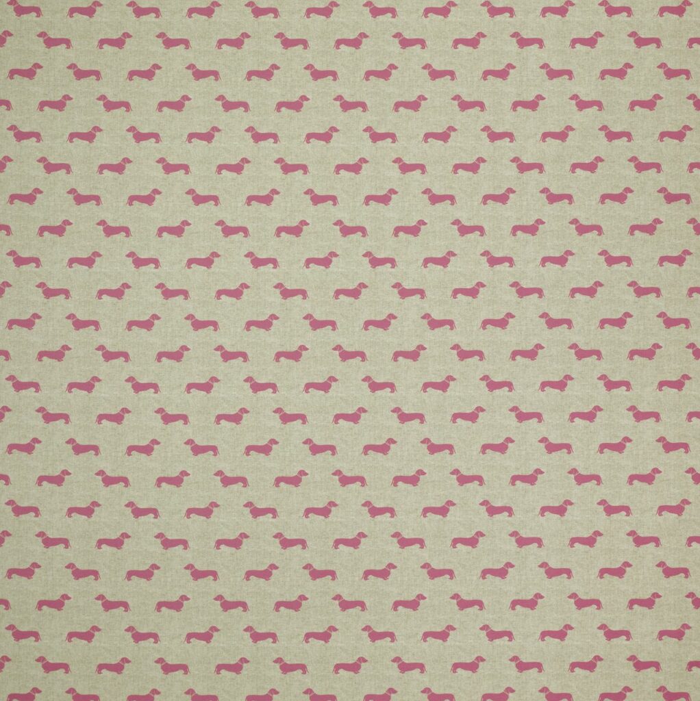 Peggy Raspberry – Emily Bond