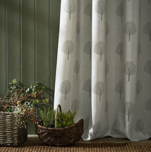 Somerset Collection – Emily Bond